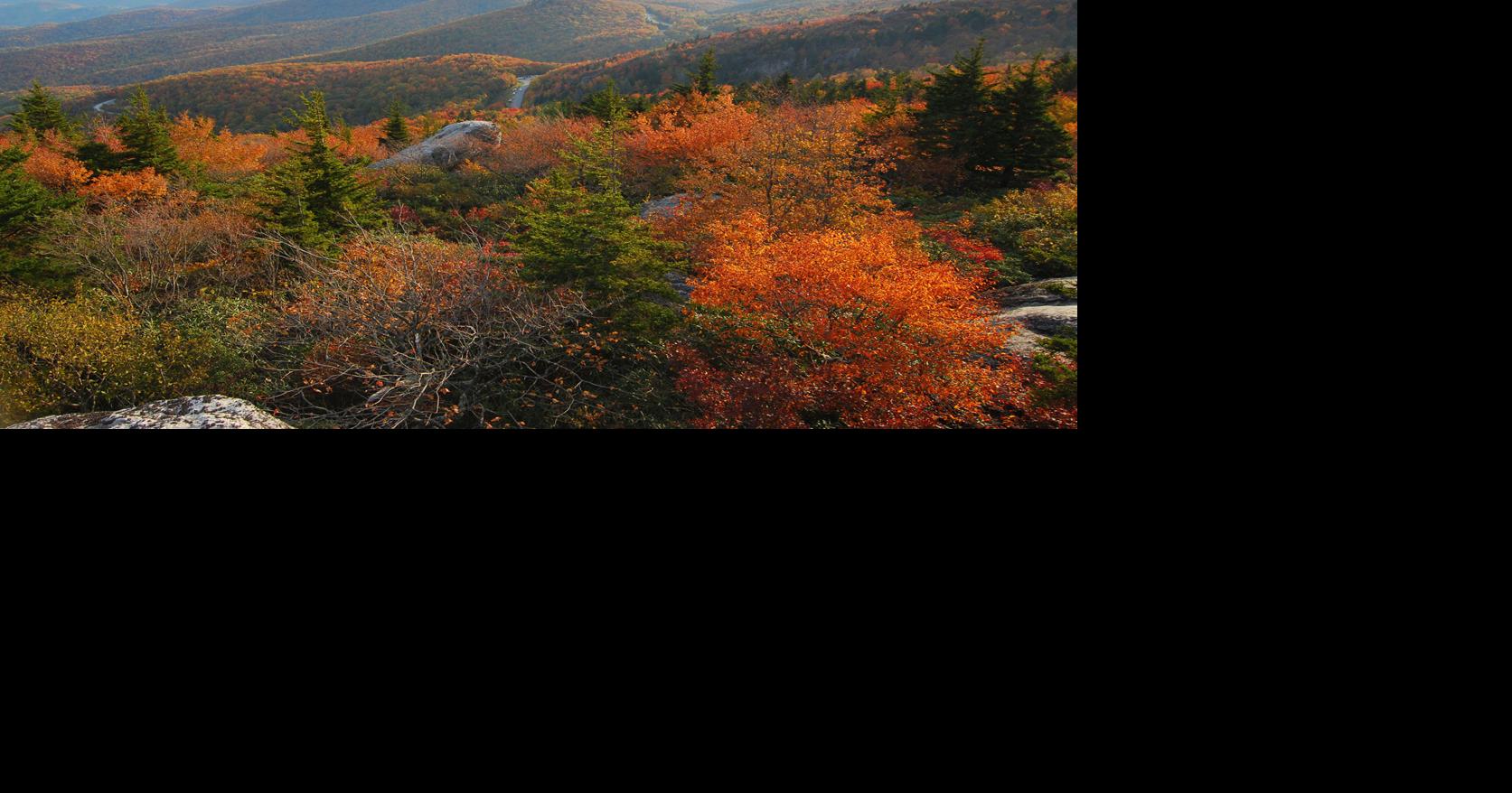 ETSU: Prime Time For Peak Fall Color In Appalachian Mountains | Local ...