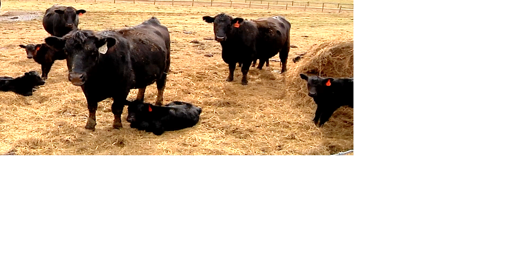 Northeast Tennessee AgResearch And Education Center Is 'On The Rise ...