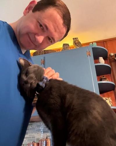 'A Ham For The Cam' Local Cat Could Win $10,000 | Local News ...