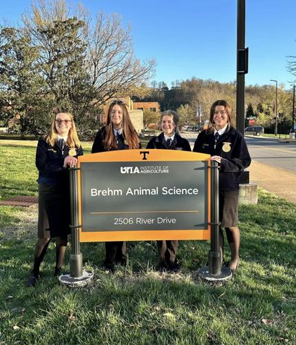 South Greene FFA Competes In Livestock Judging | Agriculture ...