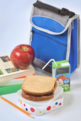 Debunking Food Safety Myths: A Parent's Guide To Packing Food-Safe ...