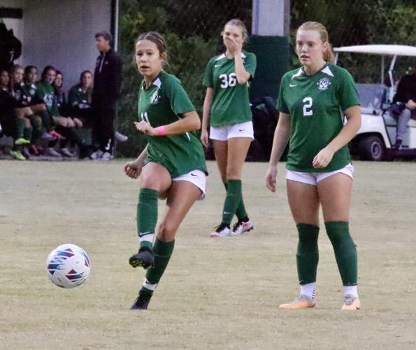 Shaw's Hat Trick Leads Greeneville's Win In Region Semis | Sports ...
