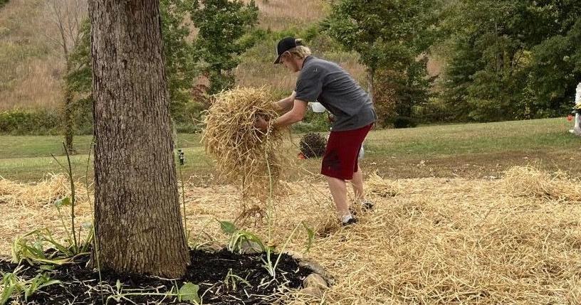 Ray Earns Eagle Scout Rank With Project To Upgrade Church Grounds ...
