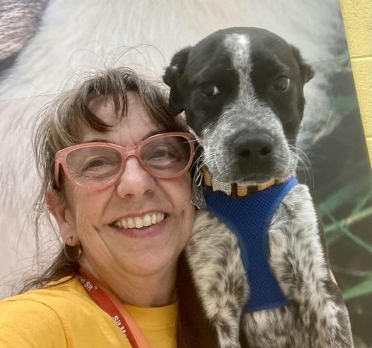 At The Shelter: Help Celebrate My 66th Birthday And Save Lives | ACCENT ...