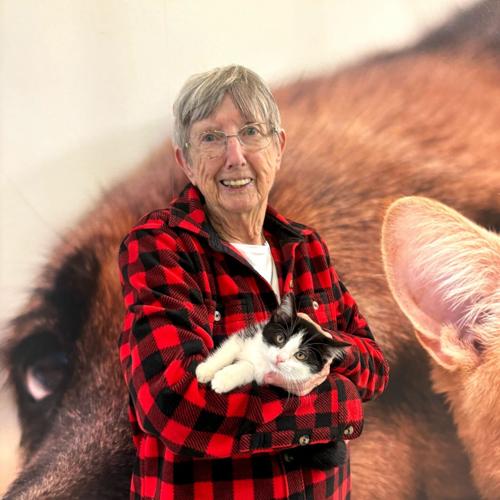 AT THE SHELTER: Membership and May adoption update | ACCENT ...