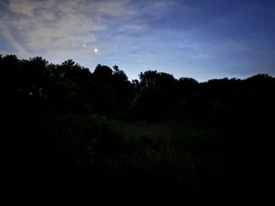 Adame: A night of fireflies | Editor's Opinion | greenevillesun.com