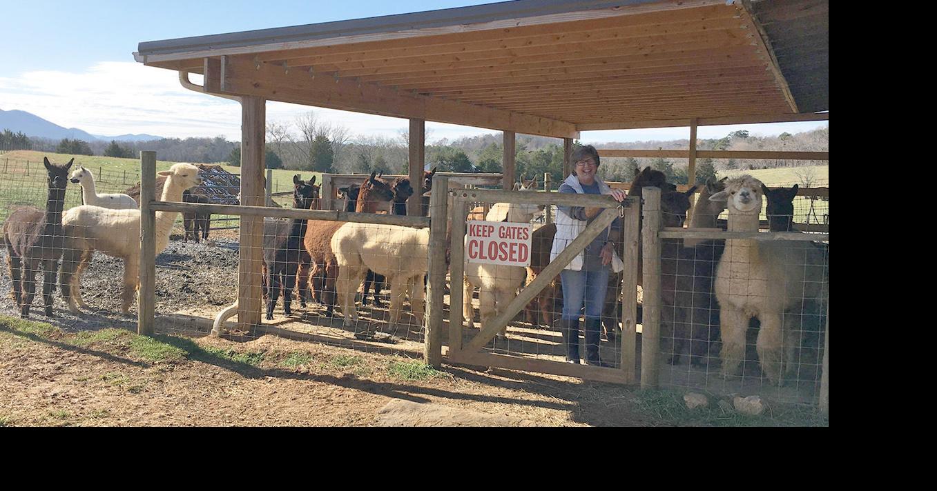 Two Roots Farm Hosting Weekend Holiday Market And Open House | Local ...