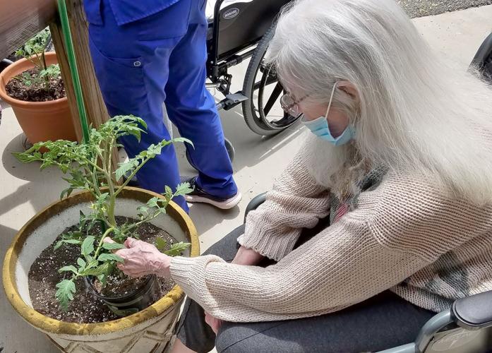 Garden Grows Grins | Local News | greenevillesun.com