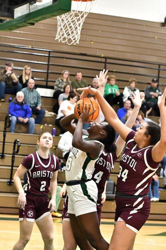Swatzell Shoots Lady Devils Into Semis | Sports | greenevillesun.com