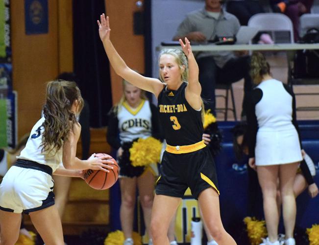 Lady Knights Just Keep Winning | Sports | greenevillesun.com