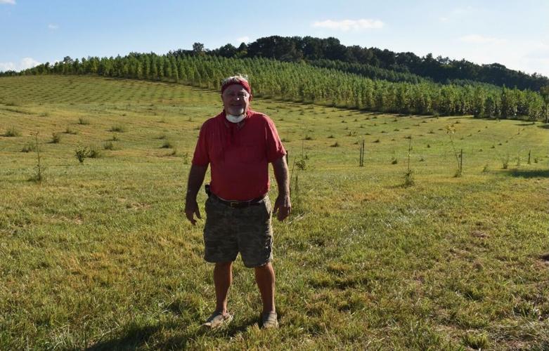 McCamey Named Tennessee Tree Farmer Of The Year | Local News ...