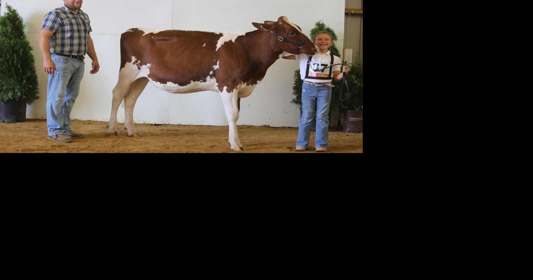 Greene County Fair Dairy Show Winner Ansleigh Gilbert | Agriculture ...