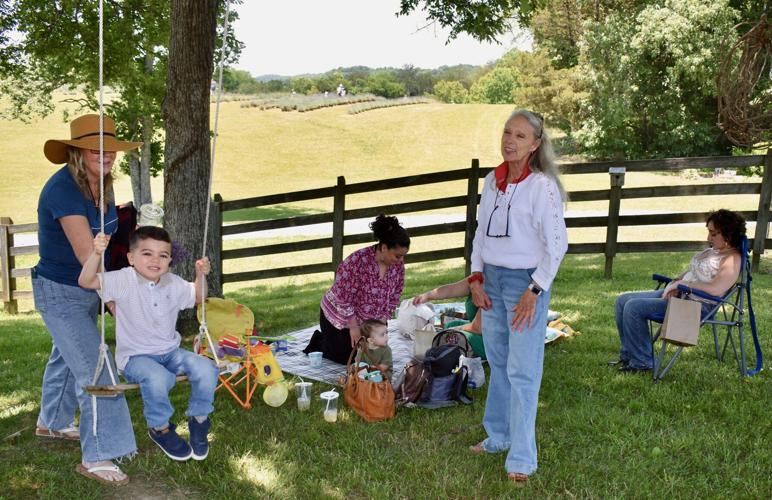 Lavender farm in Bulls Gap holds season's pick-your-own opening day ...