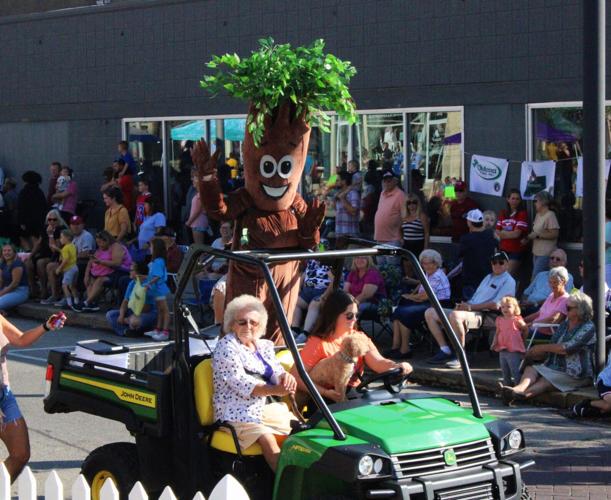 Fall Festival 2025 board members announced | Local News ...