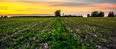 Lawmakers want to know why Indiana is losing farmland | Lifestyles ...
