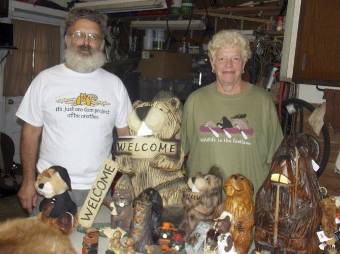 Beaver fever: Unique collection may set world record | Local News ...