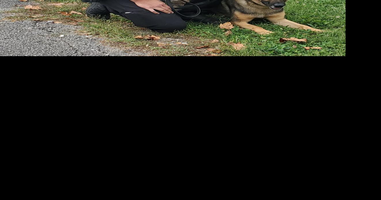 Partners : GPD Officer Mitch Tuttle and K9 Unit Hercules | Local News ...