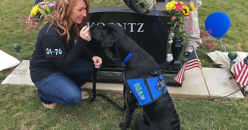 A dog named Koontz: Service K-9 provides comfort to fallen deputy's ...