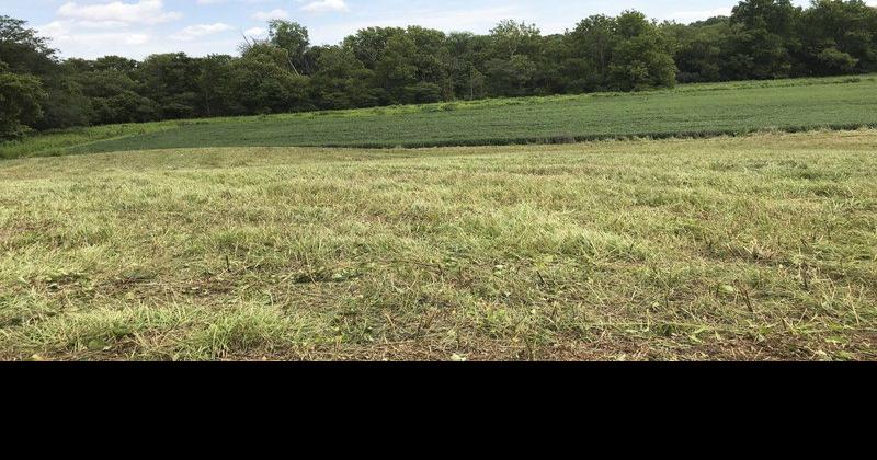 Local man presented River Friendly Farmer Award | Local News ...