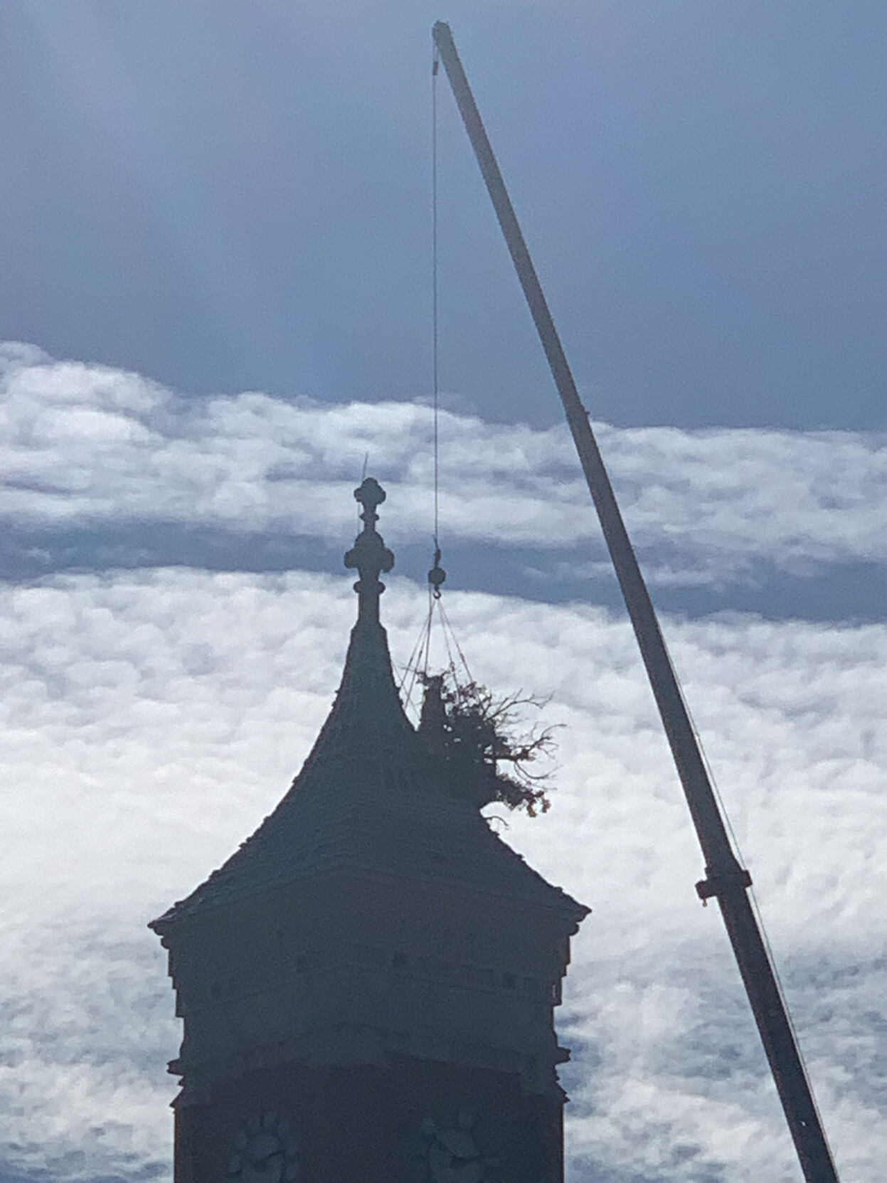 Courthouse tree gets a checkup | Local News | greensburgdailynews.com