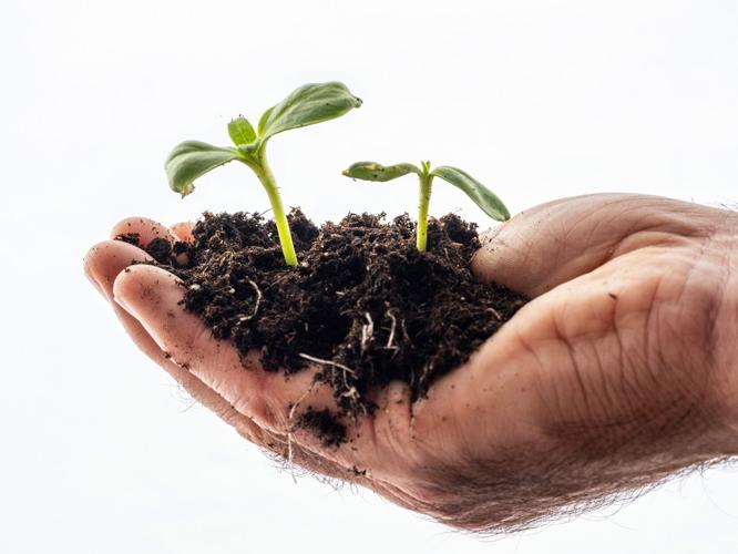 Ways we can all thank a farmer this summer | Local News ...