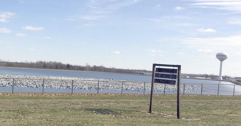 Thousands of snow geese remain in Indiana | Local News ...