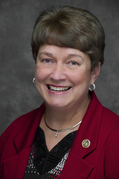 Leising victory in Senate District 42 | Local News ...
