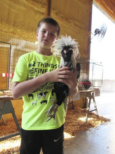 Gone to the birds | Local News | greensburgdailynews.com