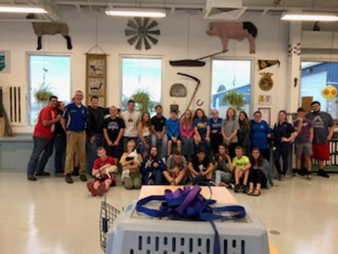 Local animal science class partners with shelter | Local News ...