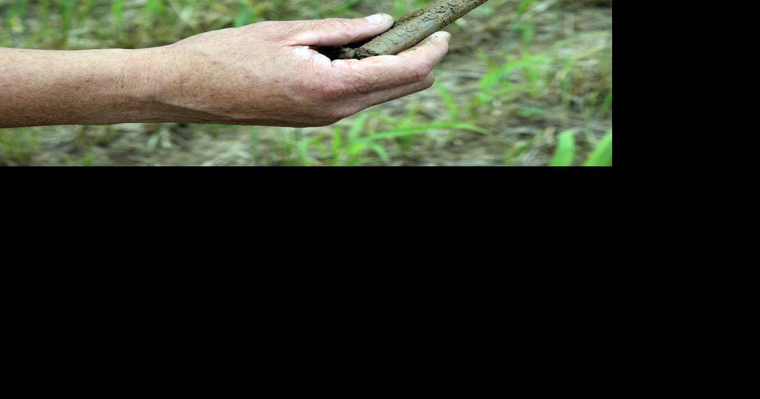 Soil sampling program available for Hoosier farmers | Local News ...