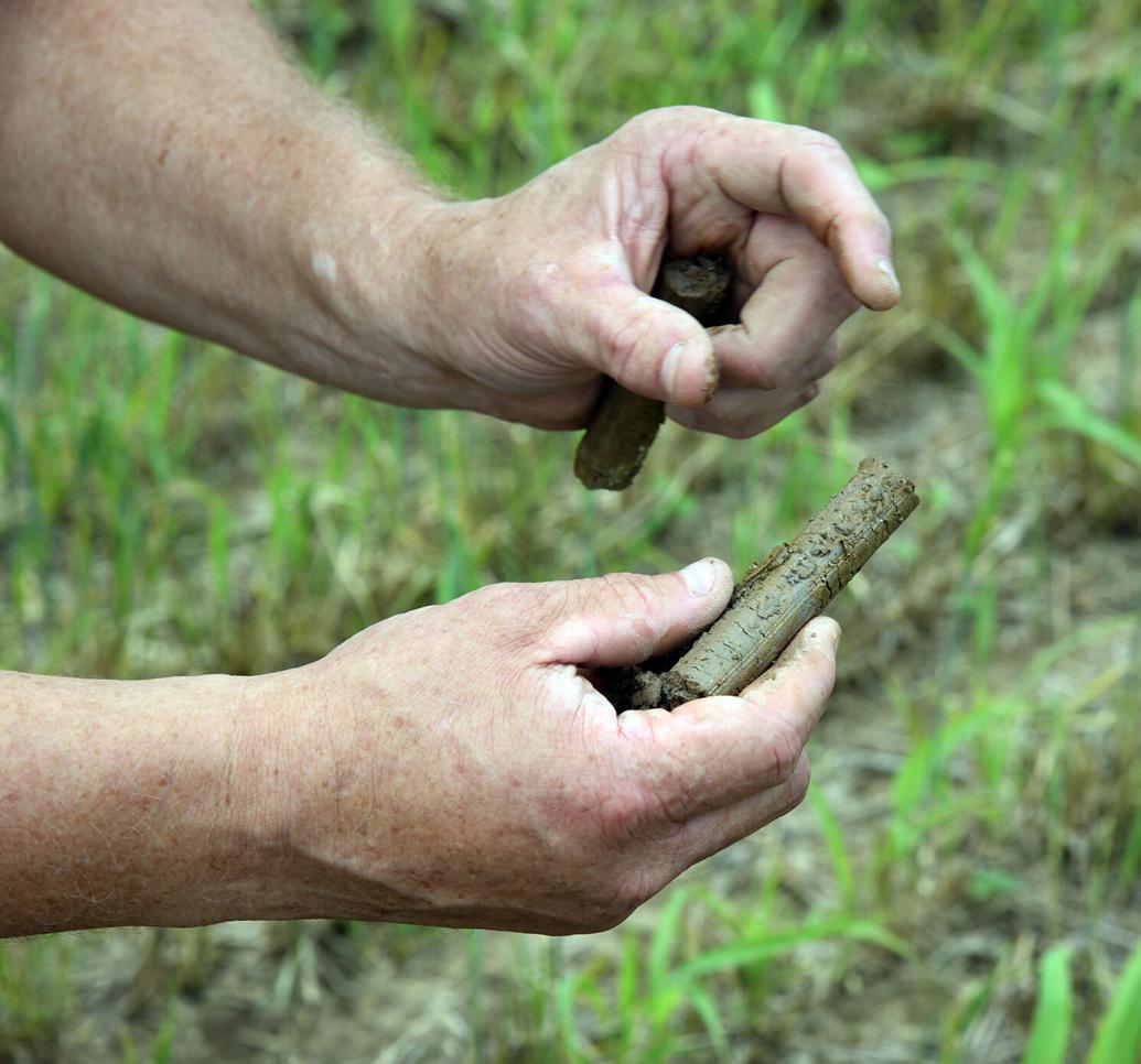 Soil sampling program available for Hoosier farmers | Local News ...