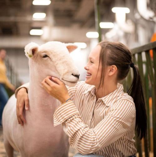 Barker takes 49th Annual Tom Swain Showmanship Competition | Local News ...