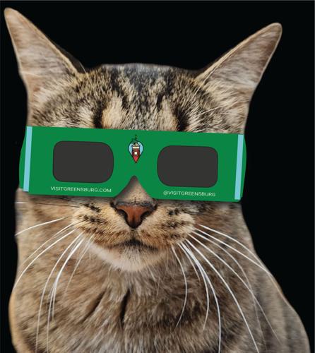 ECLIPSE SAFETY CAT | Local News | greensburgdailynews.com
