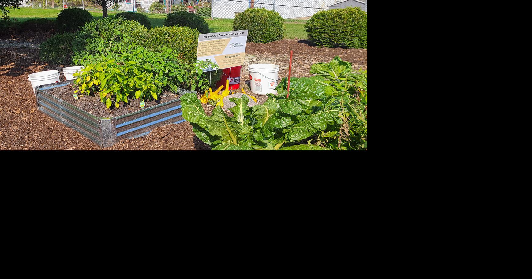 Community gardens in full bloom through collaborative efforts | Local ...