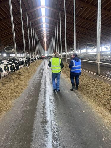 Hulsbosch Dairy Farm, LLC keeps growing and going | Local News ...