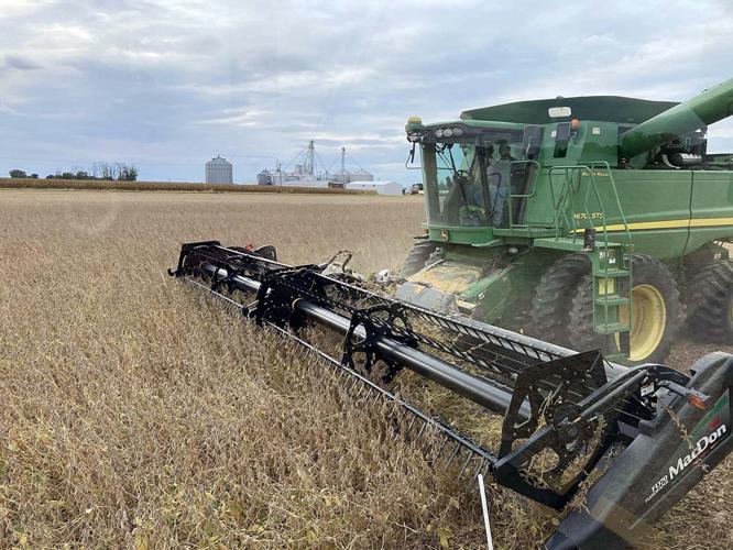 Smiley brothers agree: Farming is a business | Lifestyles ...