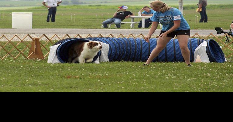 County Fair Dog Show a success | Local News | greensburgdailynews.com