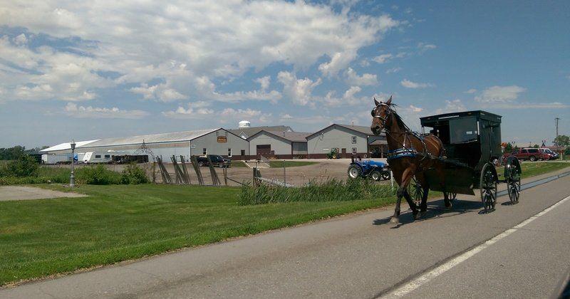 Indiana at 200: Amish Thriving in Northern Indiana | News ...