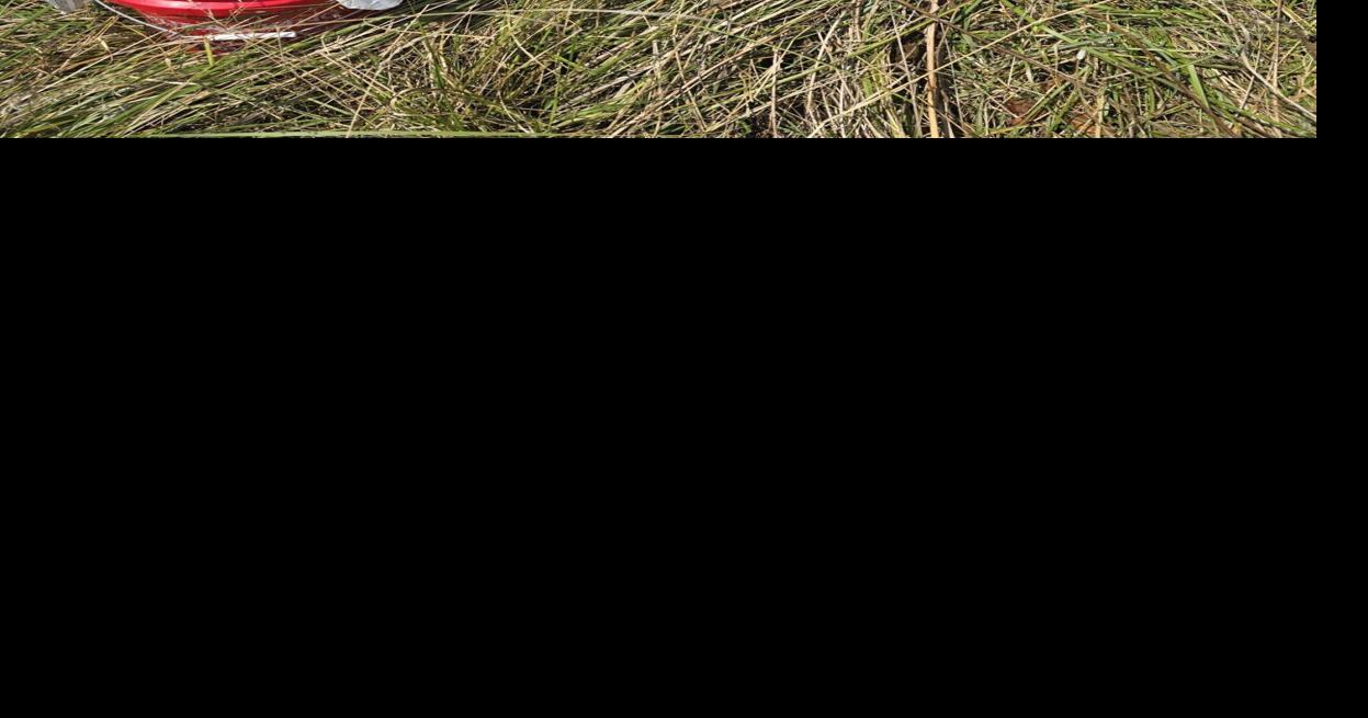 Buckets of human waste discovered in ditch | Local News ...