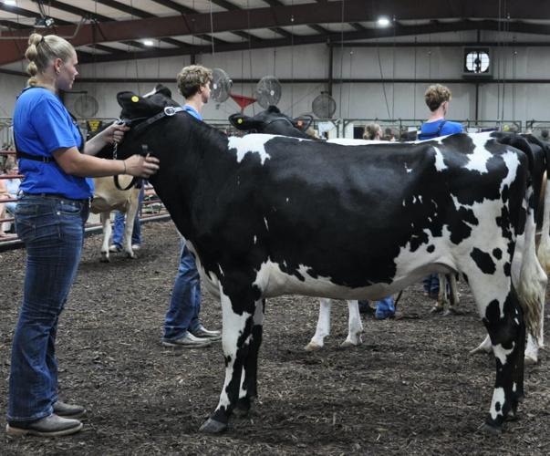 50th anniversary Tom Swain winners announced | Local News ...