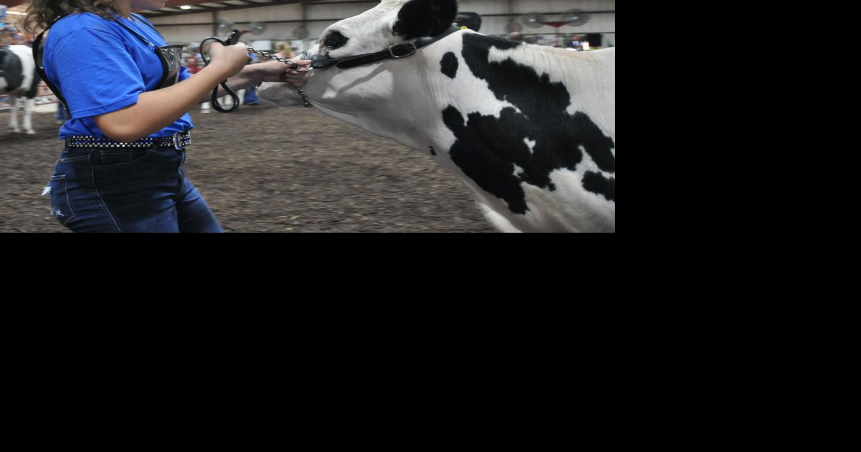 50th anniversary Tom Swain winners announced | Local News ...