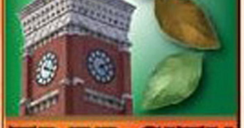 Tree City Fall Festival is here | Local News | greensburgdailynews.com