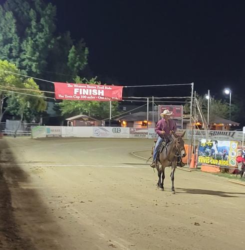 Ticket the mule and the Tevis Ride | Prospecting | gtgazette.com