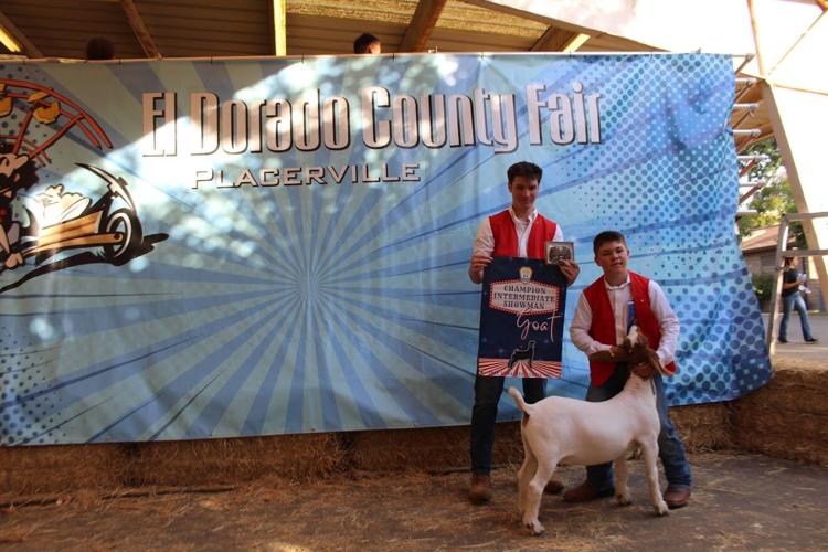 Marshall Grange youth know how to show at the county fair | Prospecting ...