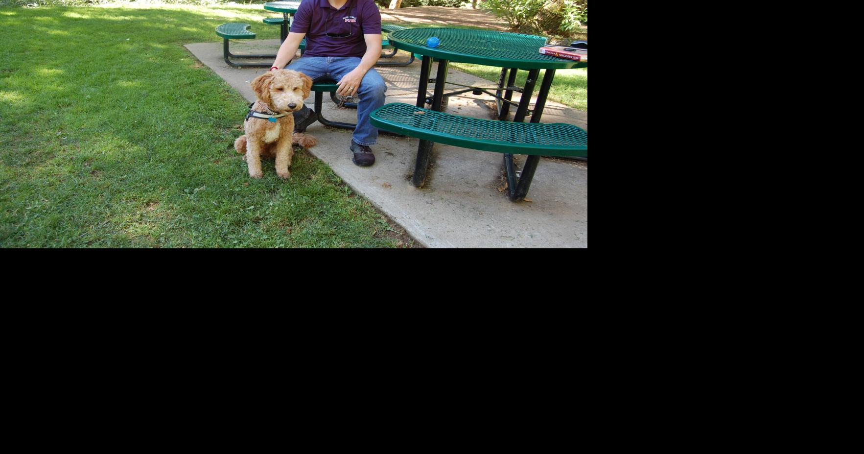 Hearts 4 Heroes: Pawed healers bring relief | Zoology | gtgazette.com