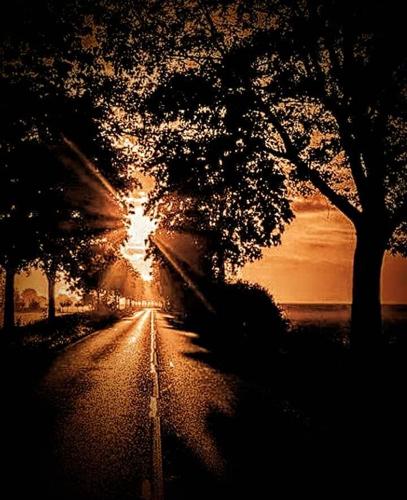 The artistry of Ron Harris | Arts and Entertainment | gtgazette.com