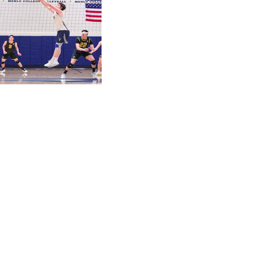 Lucas Larson selected to the AVCA All-American 1st Team | Prospecting ...