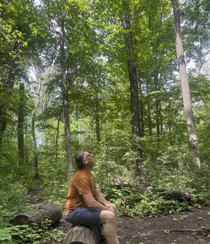Come enjoy Shinrin-yoku workshops at the Guelph Arboretum
