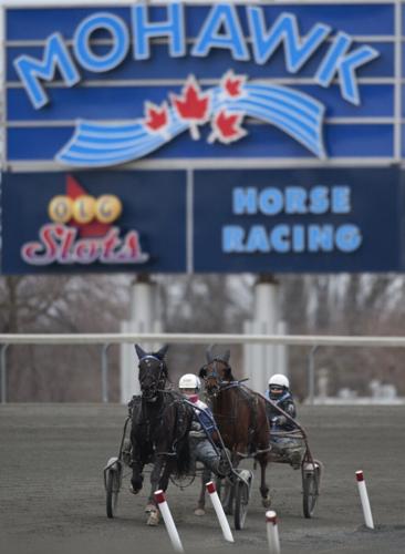 Mohawk could race year-round as Woodbine expands