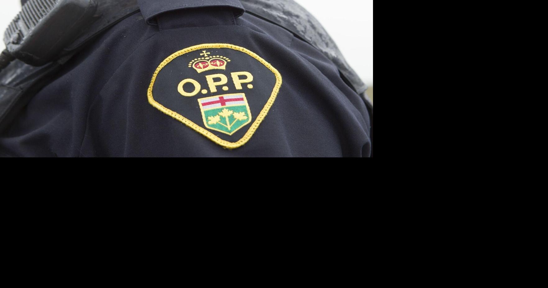 Guelph Man Charged In Alleged Assault In Wellington North 0164